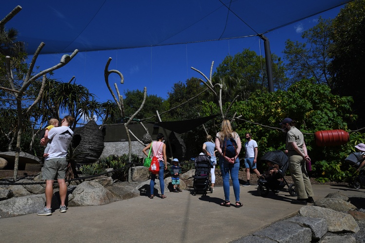 Un nuovo zoo nel Victoria ha aperto ufficialmente al pubblico — Il Globo