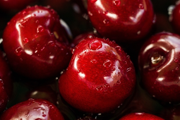 Italian farmers grow world’s biggest cherry — Il Globo