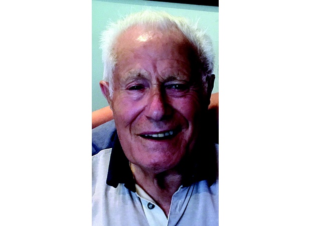 Domenico Simone — Il Globo