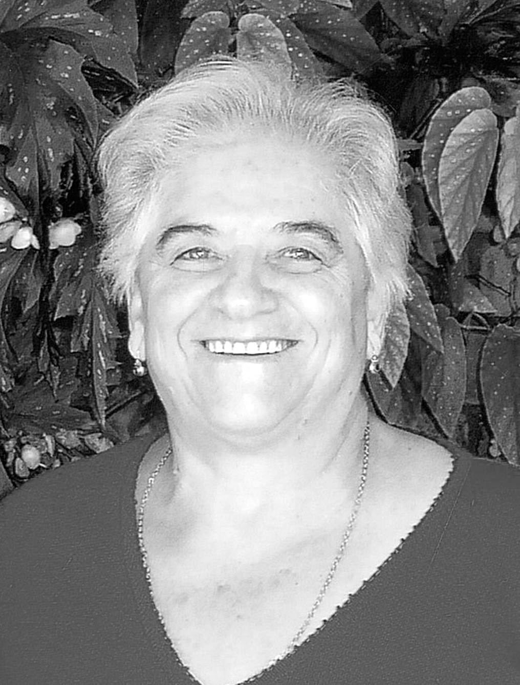 Liberata Venneri — Il Globo