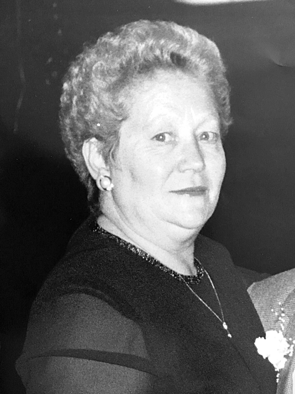 Maria Rutigliano — Il Globo