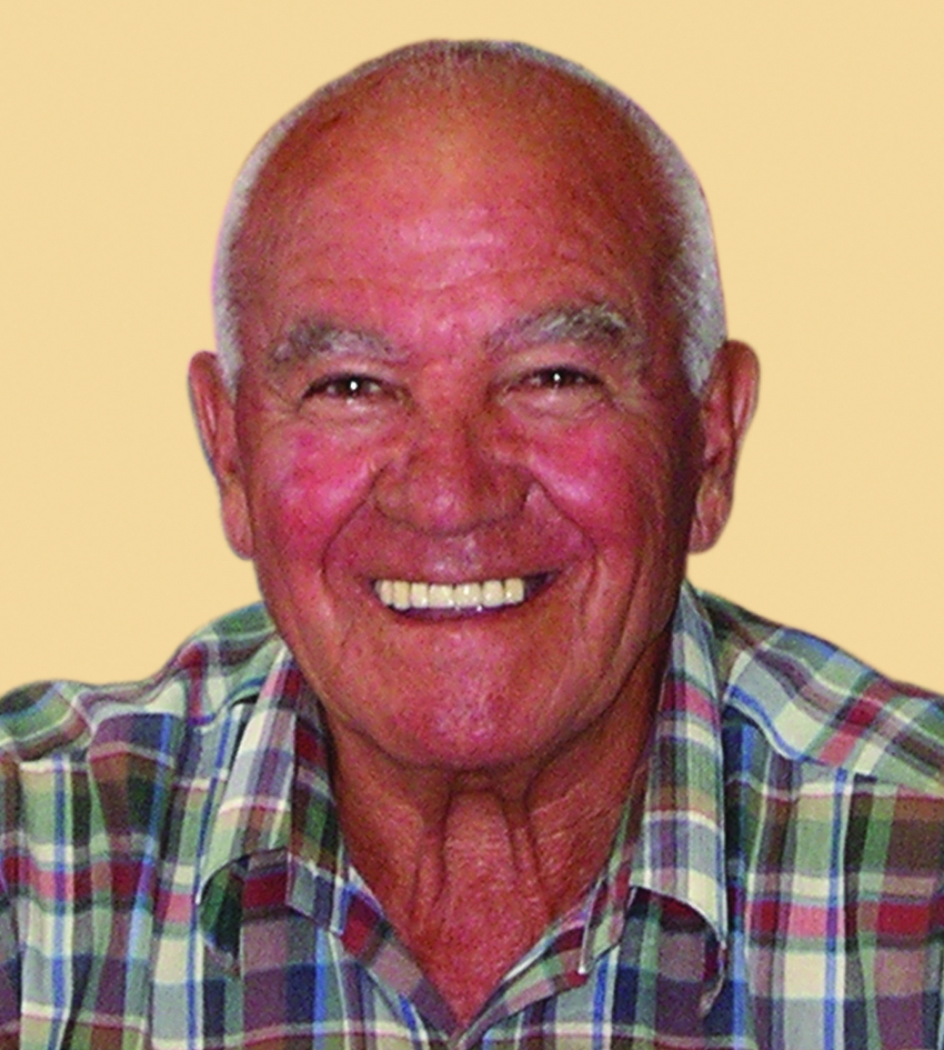Giuseppe Del Vecchio — Il Globo