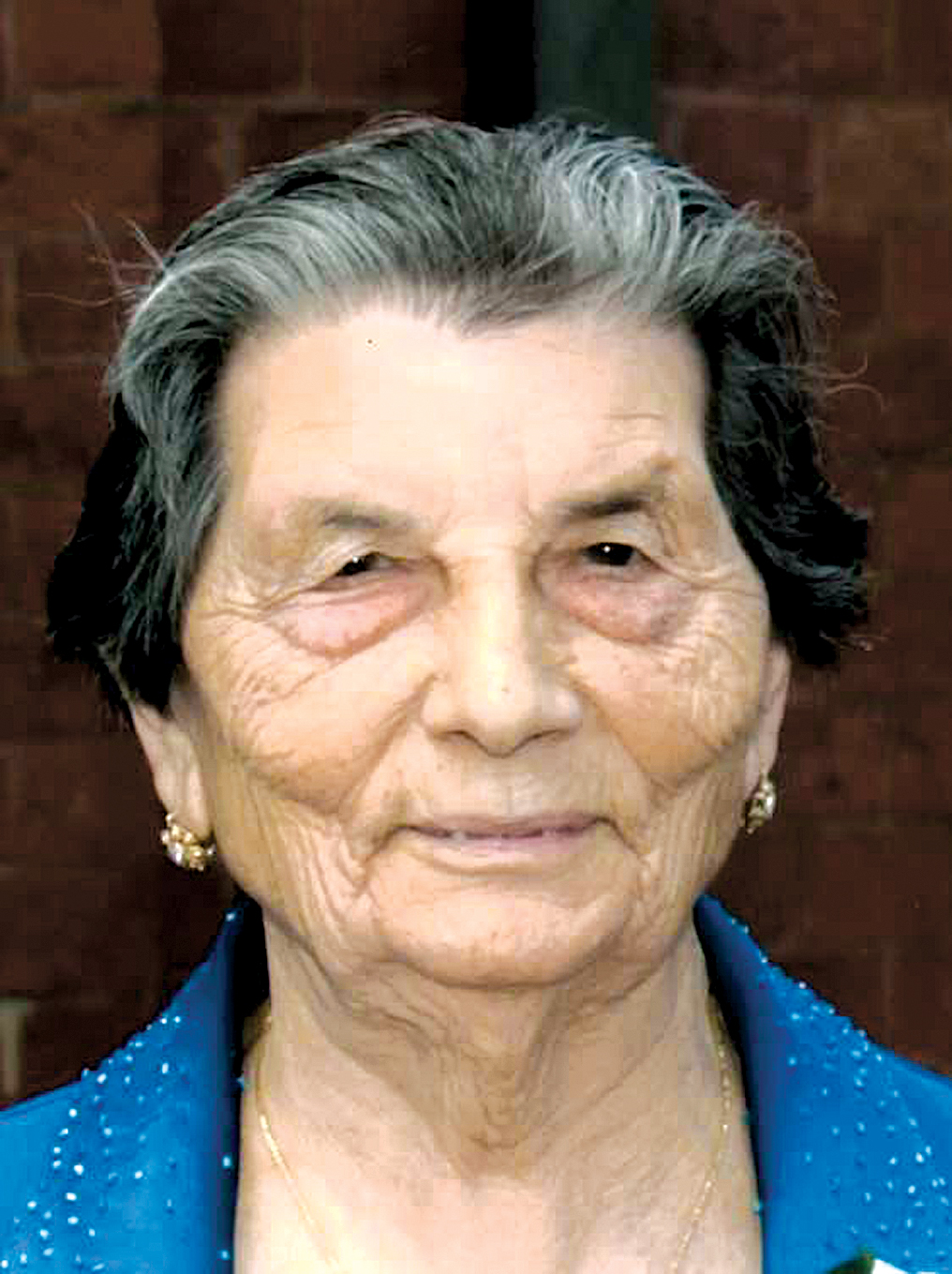 Maria Vincenza Surace — Il Globo