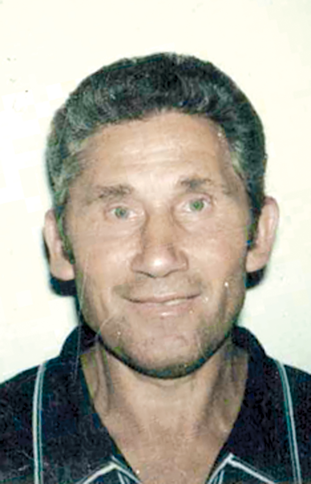 Angelo Viola — Il Globo