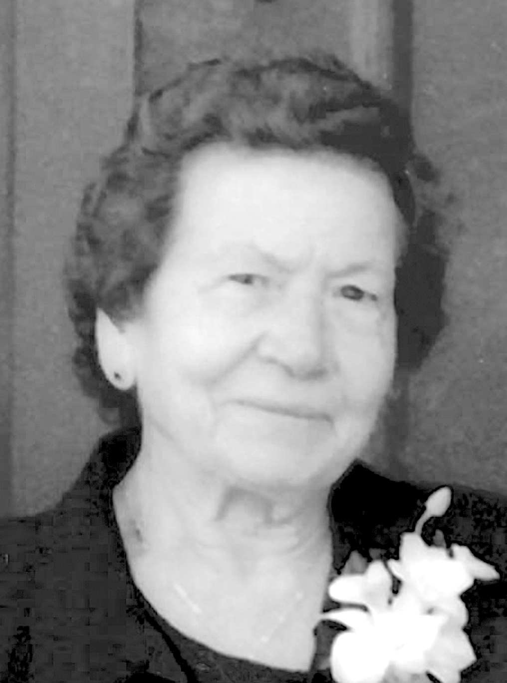 Maria Annunziata Digiglio — Il Globo