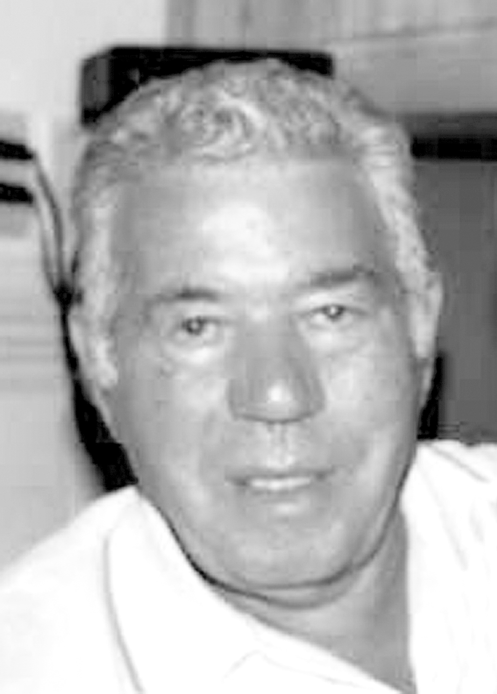 Michele Costanzo — Il Globo