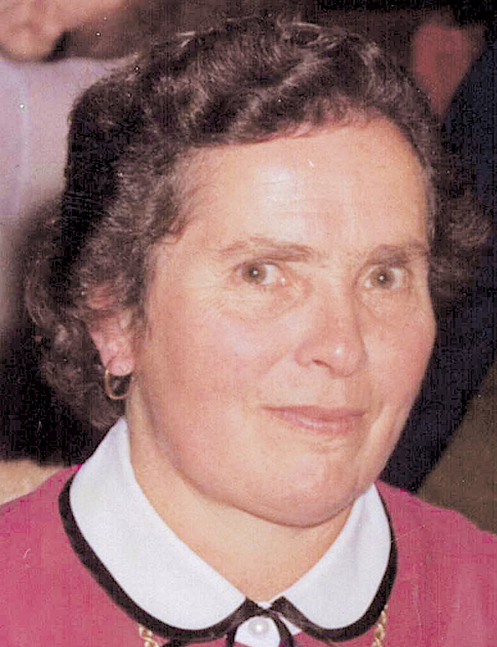 Angela Castellucci — Il Globo