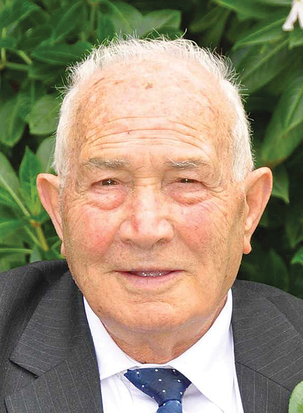 Francesco Frank Zinghini — Il Globo