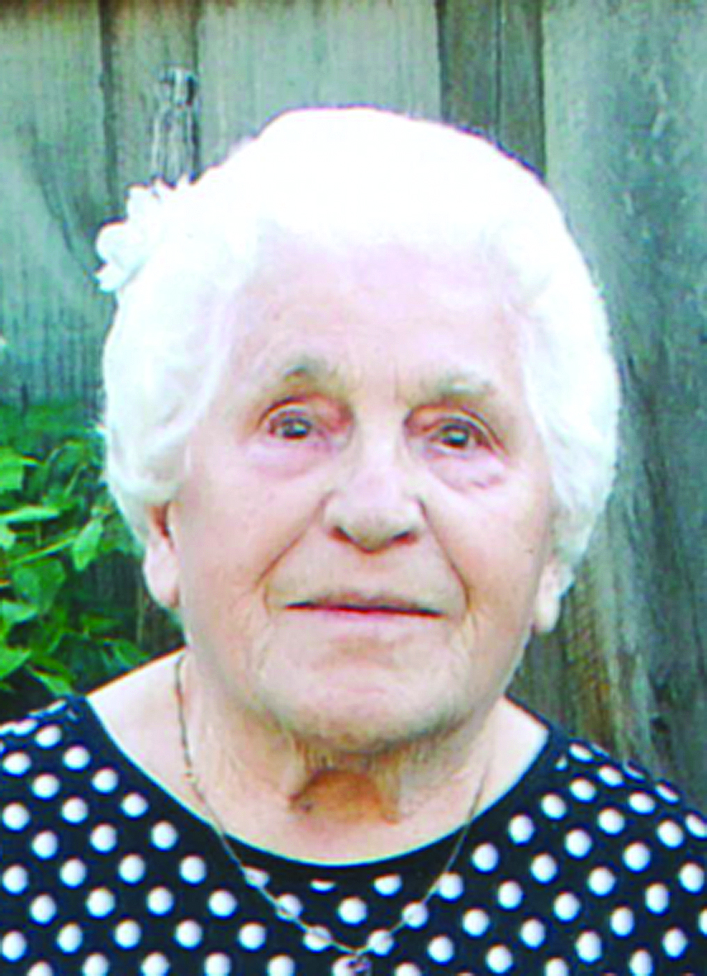Alice Pellegrini Rudnew — Il Globo