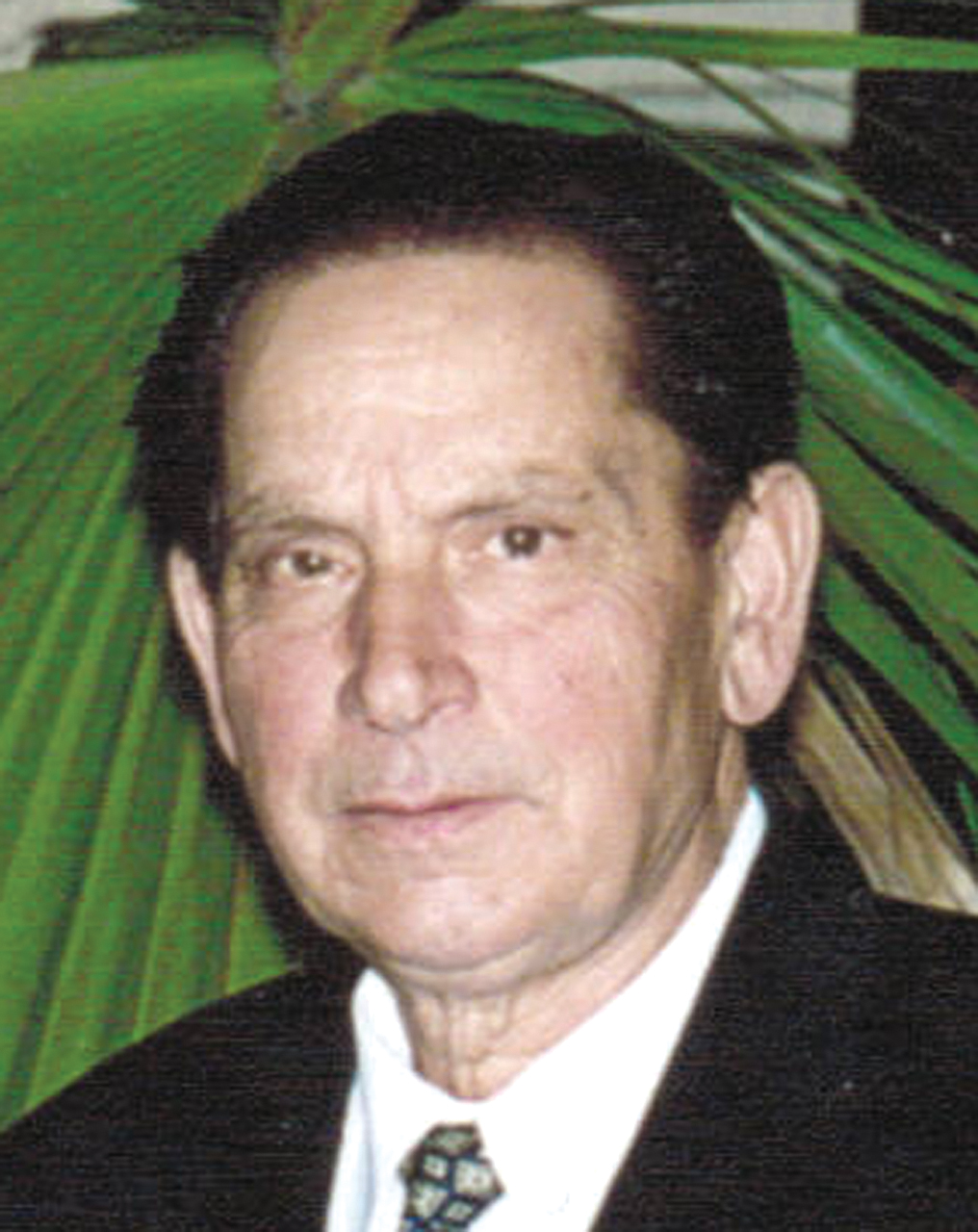 Francesco Febbraro — Il Globo