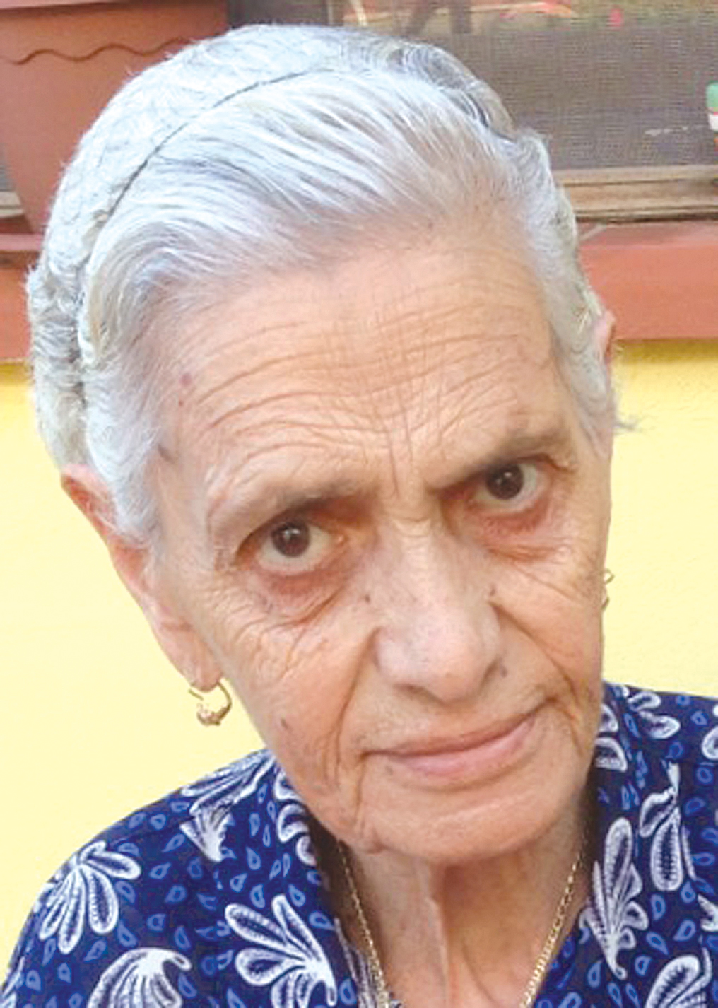 Maria Paola Bonacci — Il Globo