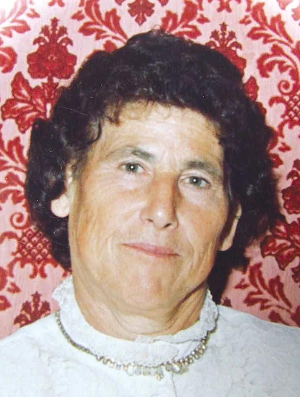 Amelia Gregory — Il Globo