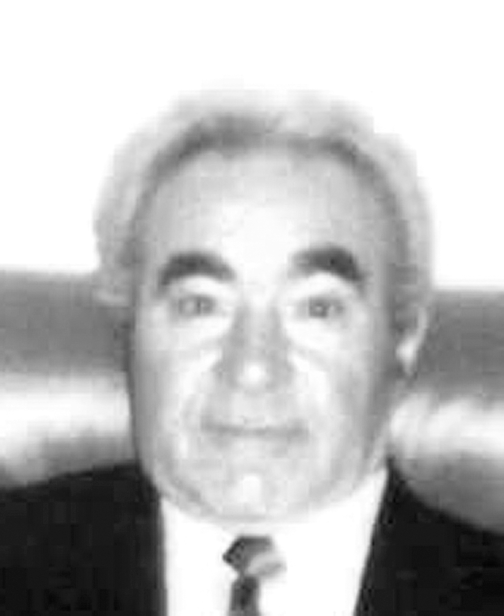 Giovanni Rosa — Il Globo