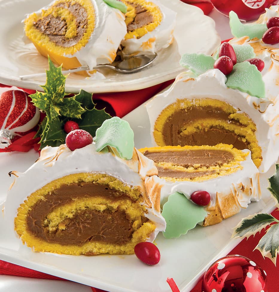 Ice cream log — Il Globo