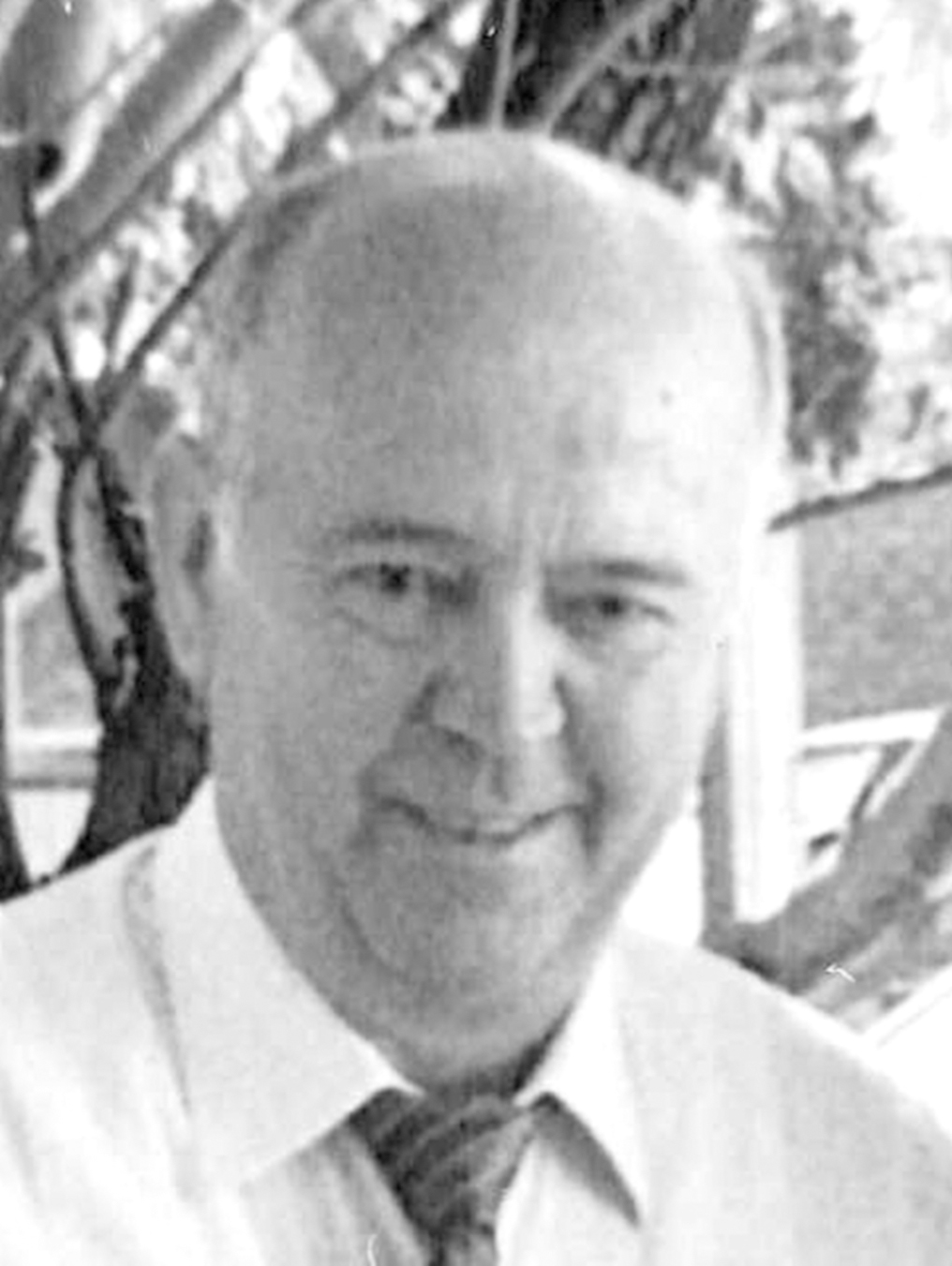 Giuseppe Salce — Il Globo