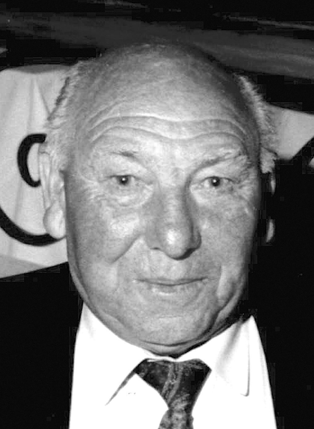 Giuseppe Bucello — Il Globo