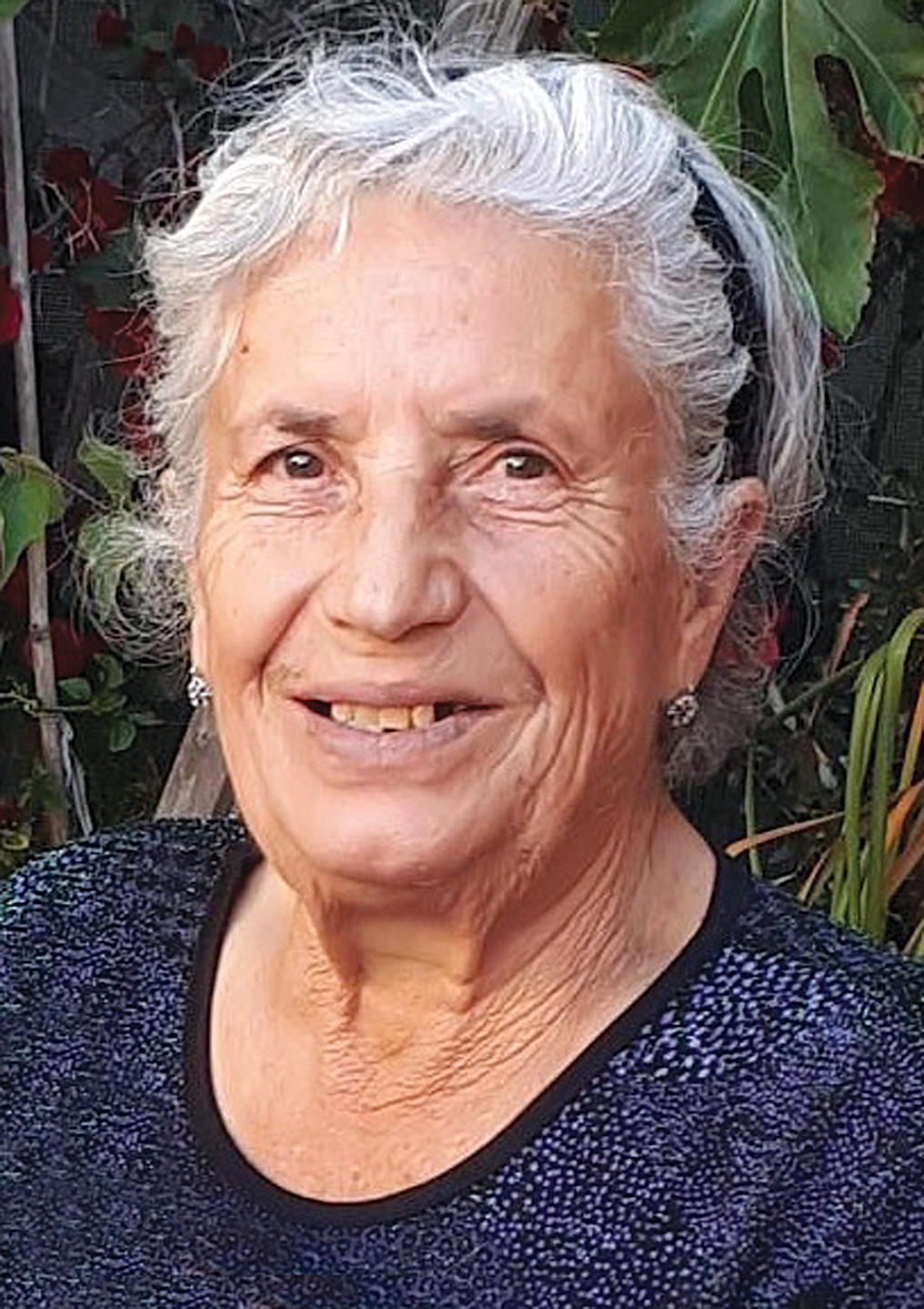 Antonia Sina Romeo — Il Globo