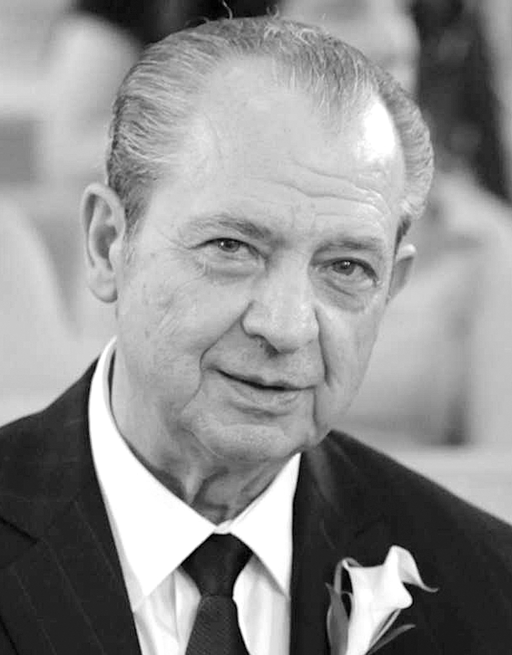 Francesco Lamberti — Il Globo