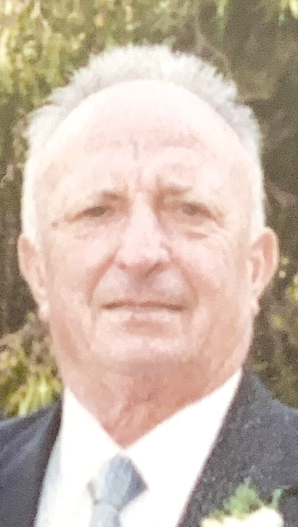 Antonio Tomaino — Il Globo