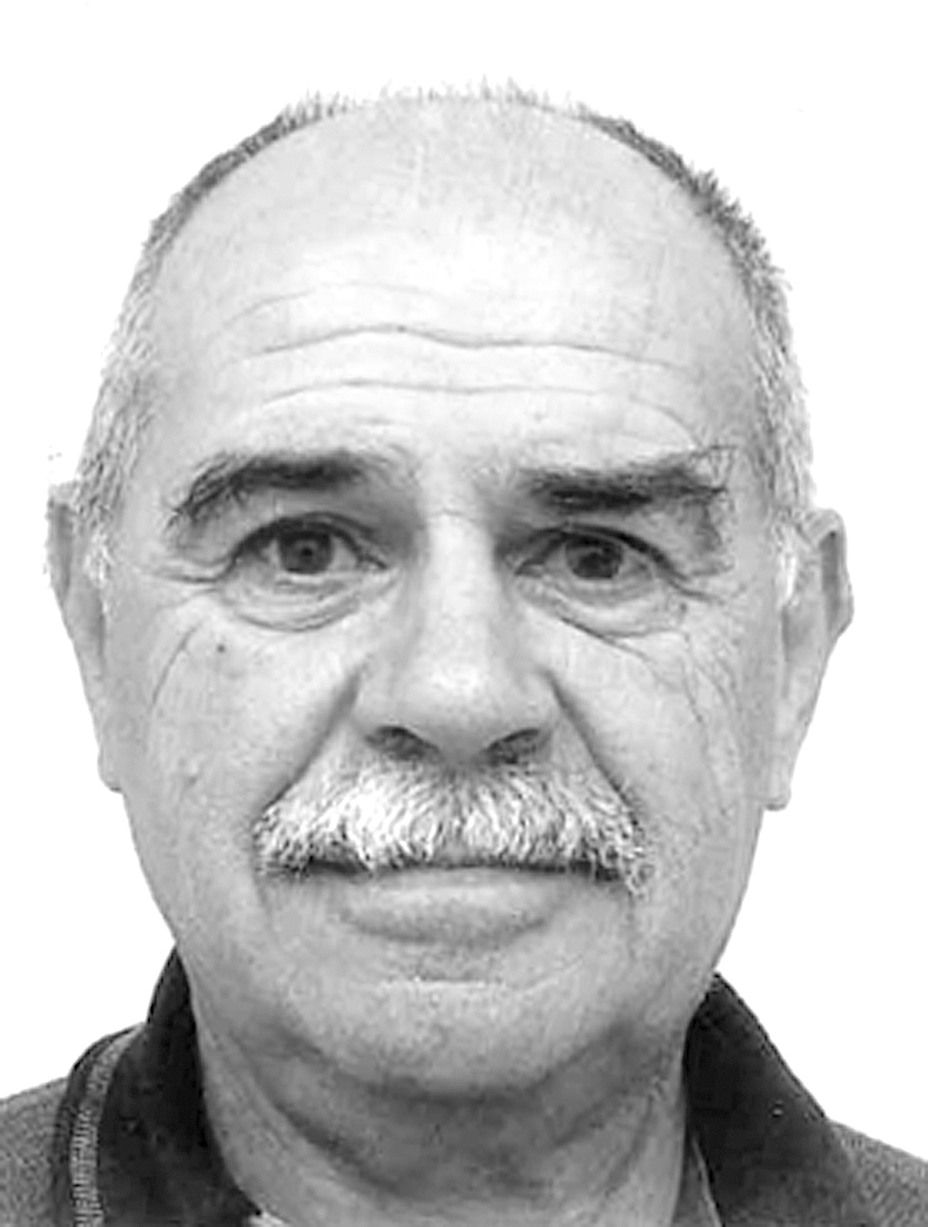 Riccardo Bergami — Il Globo