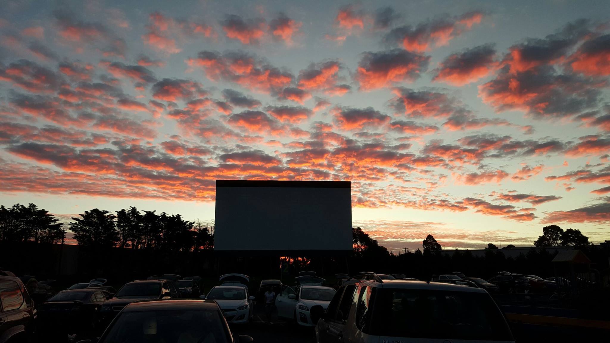 Non solo fascino retrò: il ritorno del drive-in — Il Globo