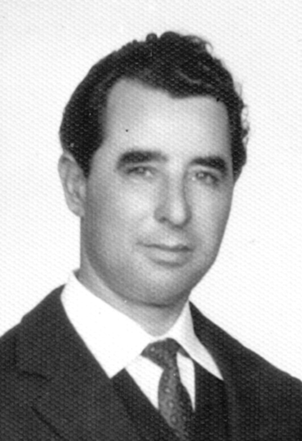 Domenico Russo — Il Globo