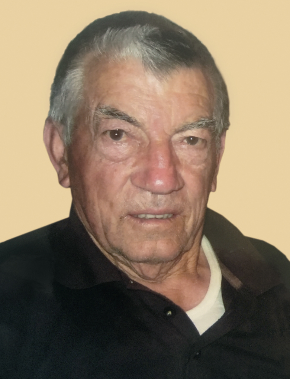 Vincenzo D’Elia — Il Globo