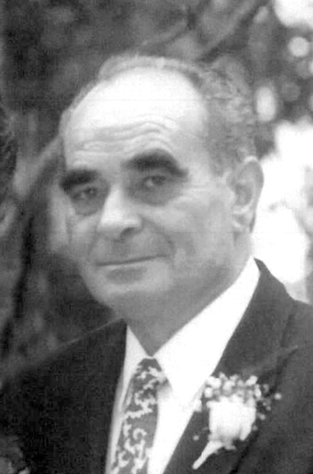 Michele Recchia — Il Globo