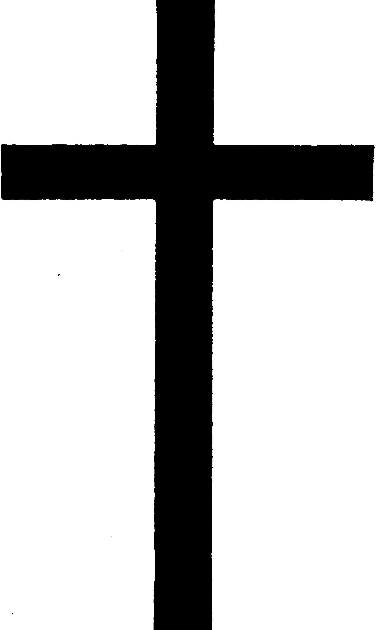 Iolanda Maria Bonacci — Il Globo