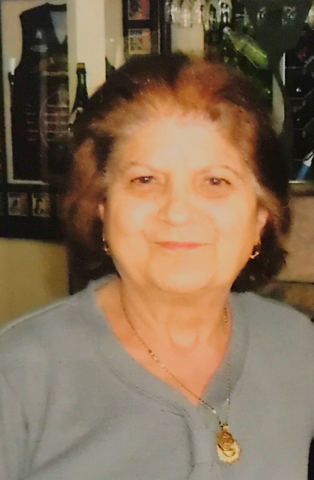 Angela Donato — Il Globo