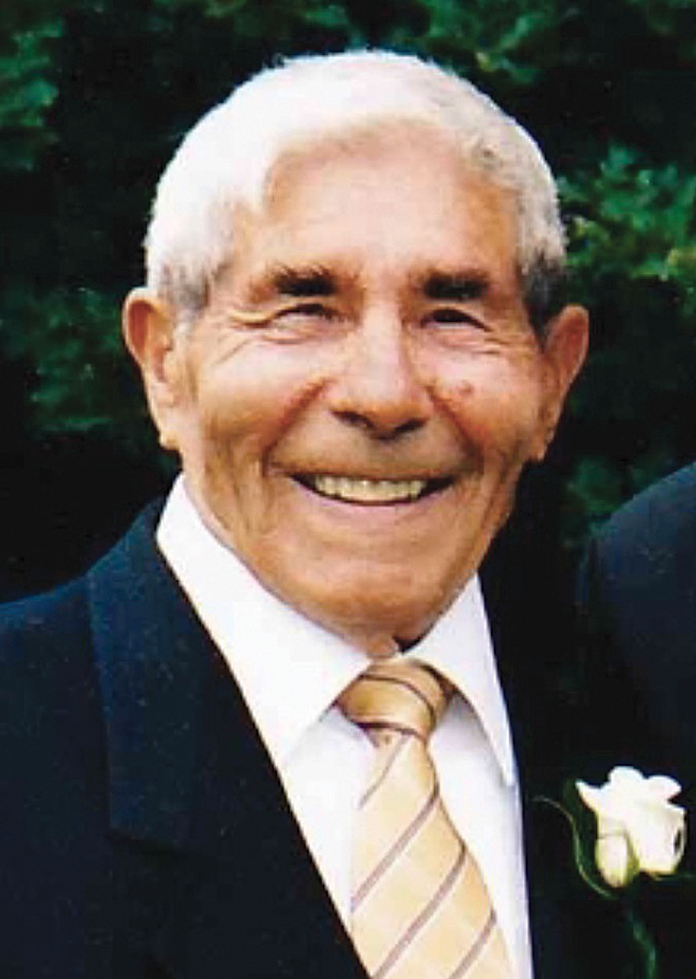 Armando Riccioni — Il Globo