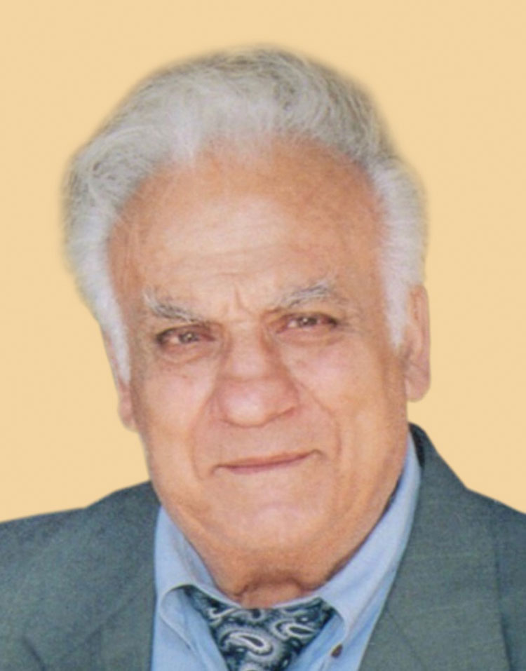 Giuseppe Guzzardi — Il Globo