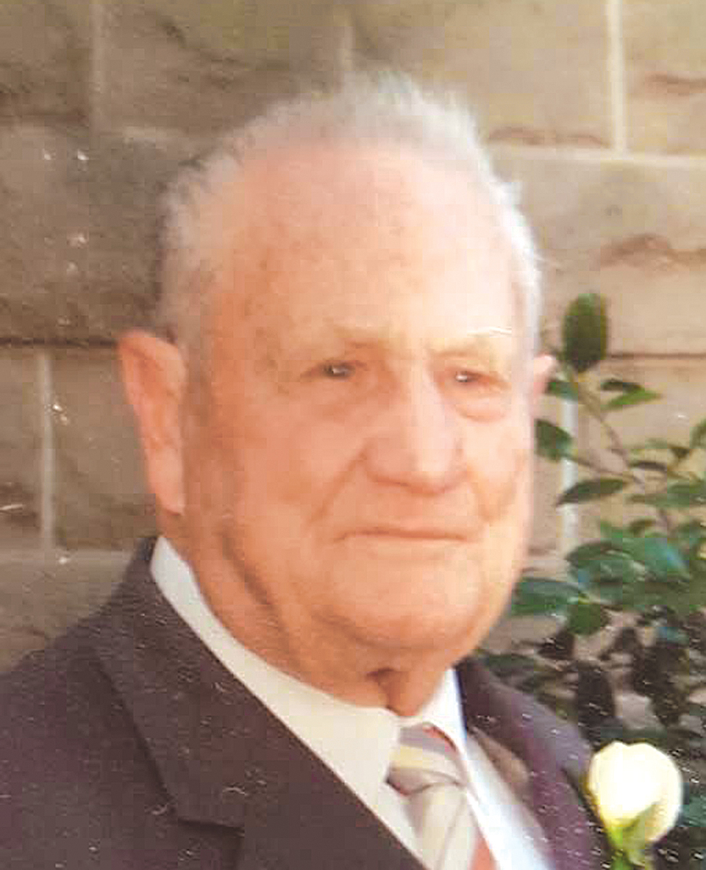 Mario Pettinella — Il Globo