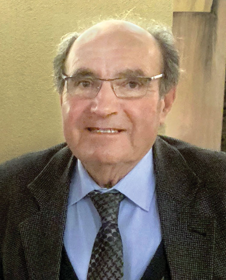 Vincenzo Vince Occhipinti — Il Globo