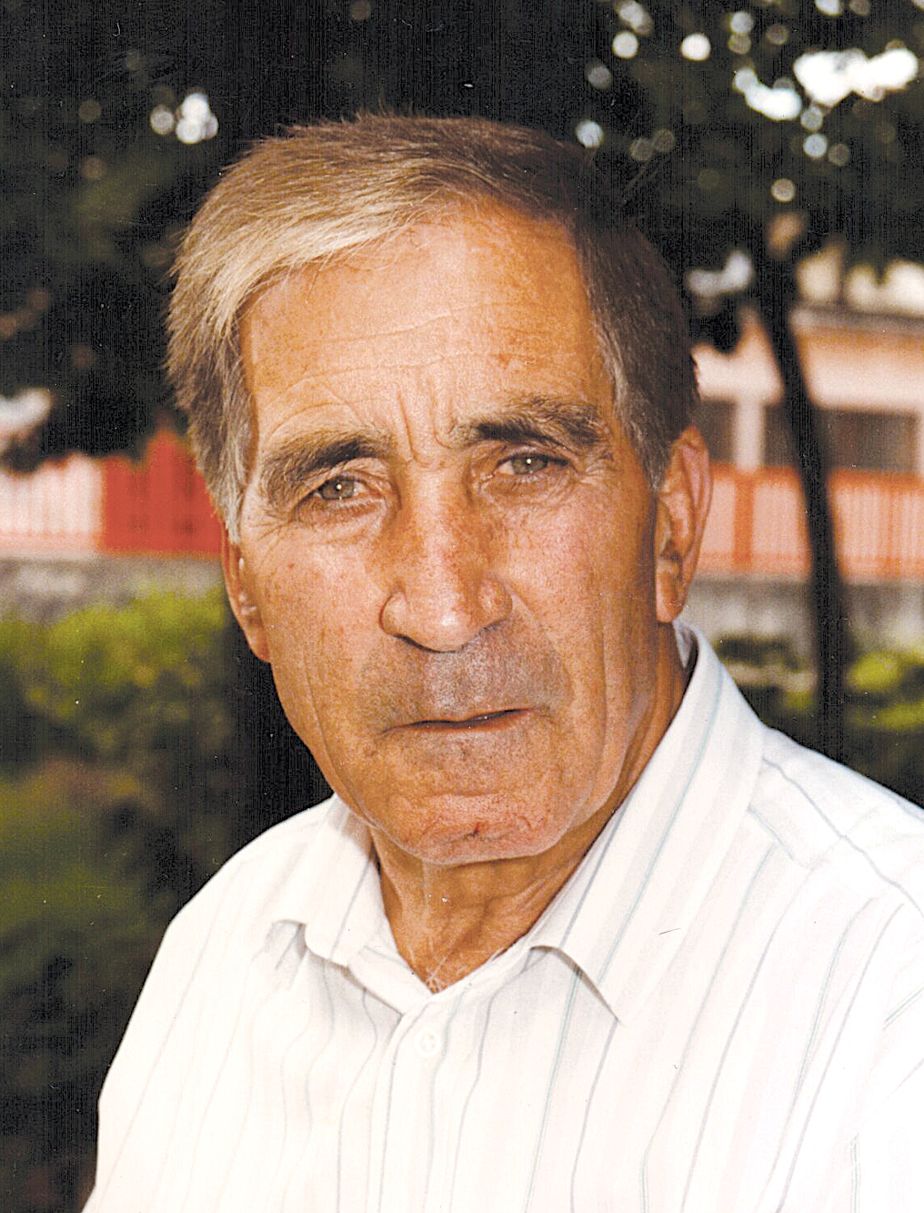 Bartolo Angelica — Il Globo