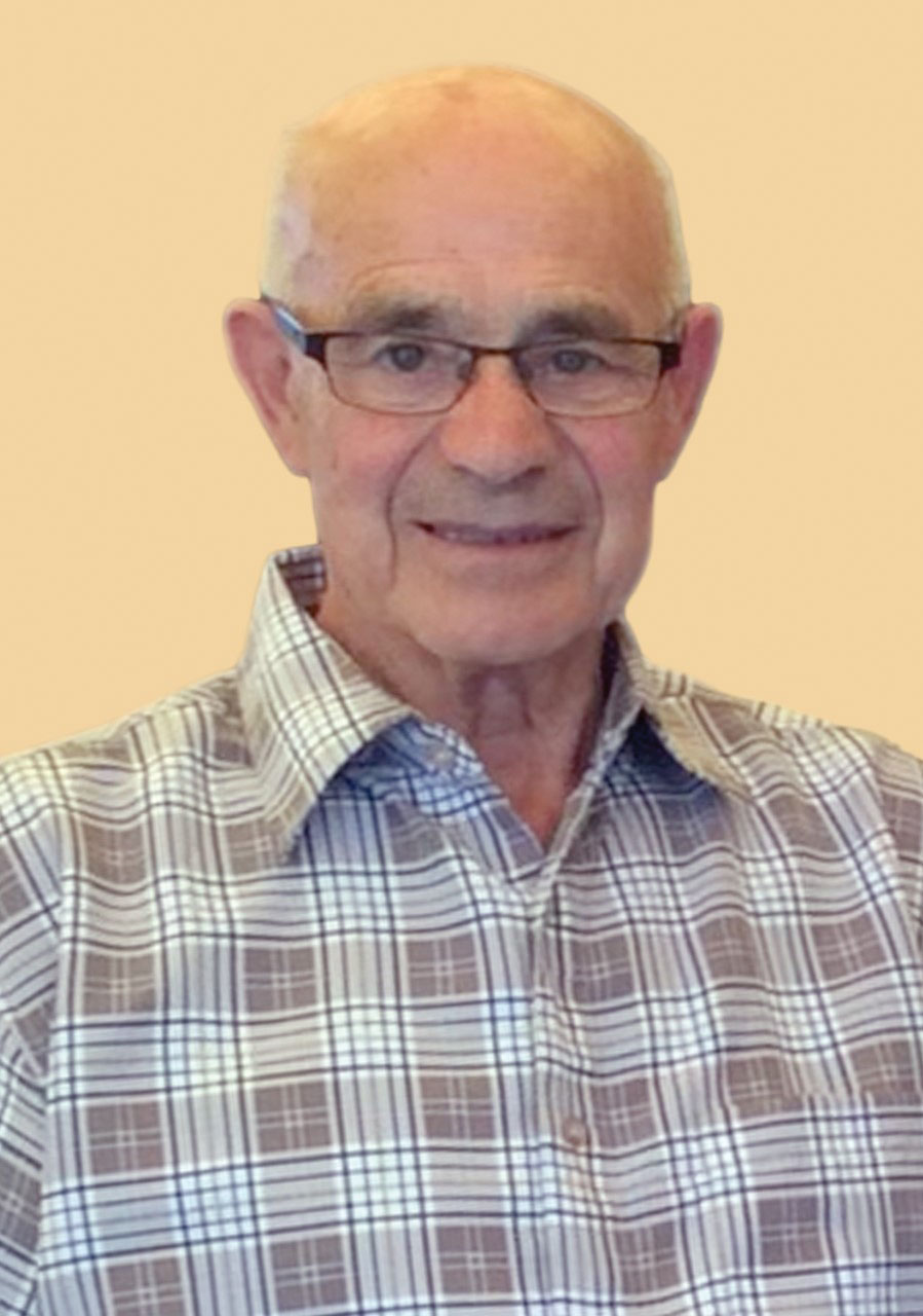 Michele Palena — Il Globo