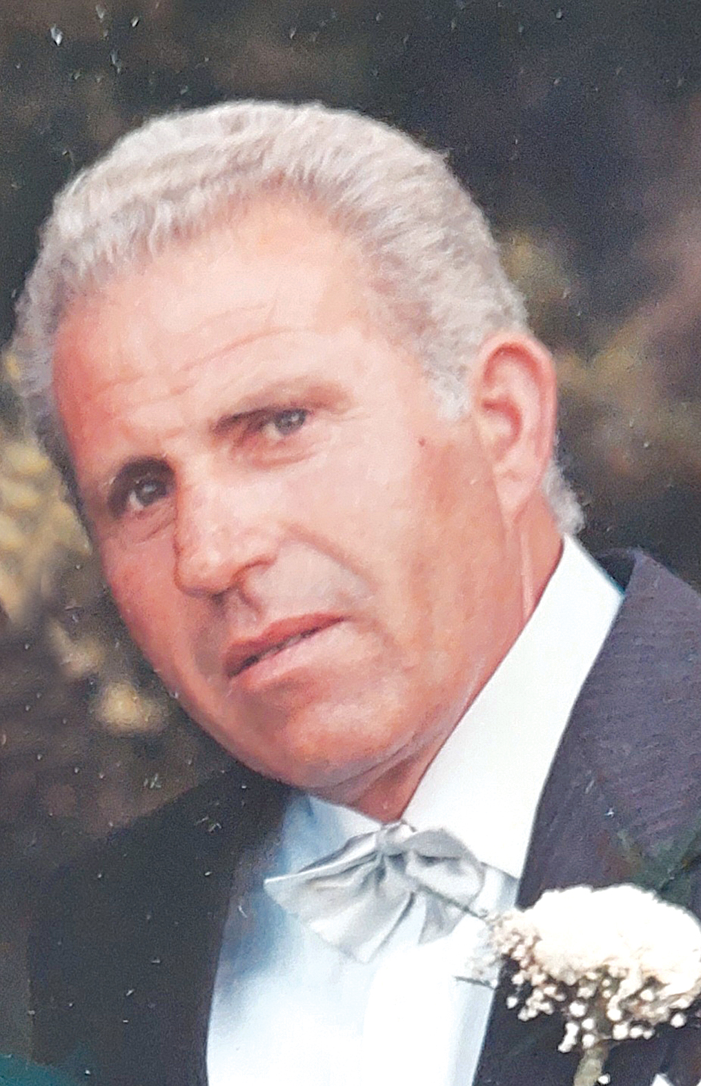 Paolo Alibrio — Il Globo