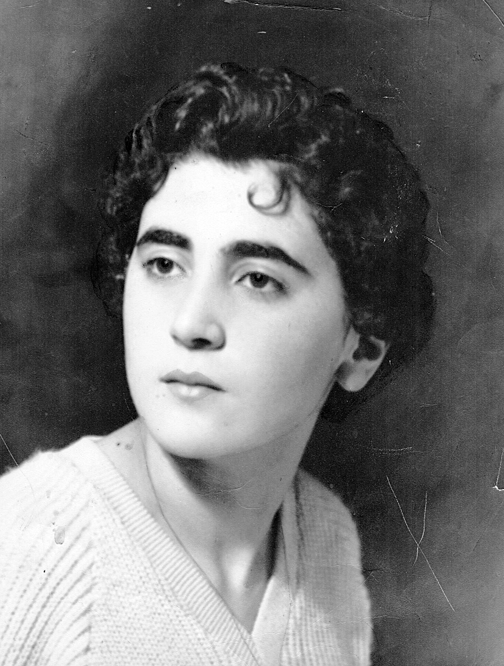 Laura Chiappalone nata Colacino — Il Globo