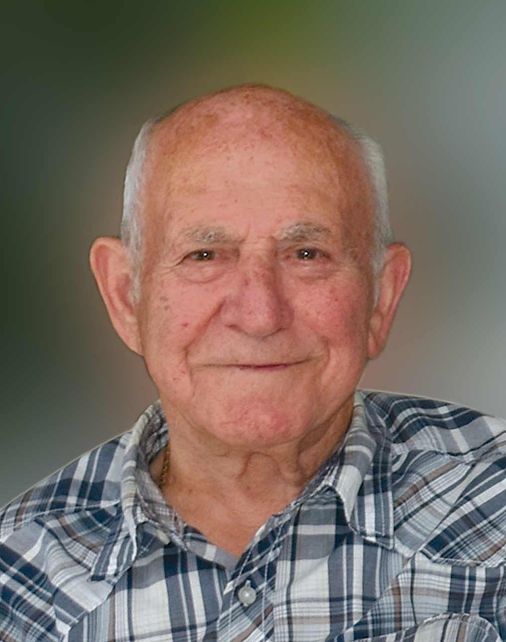 Vincenzo Iannazzo — Il Globo