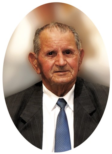 Raffaele Falvo — Il Globo