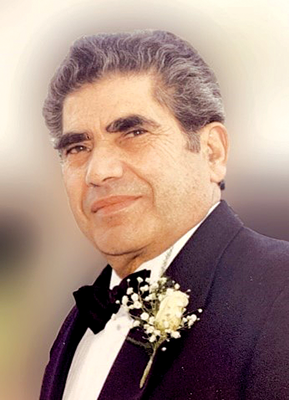 Domenico Genovese — Il Globo