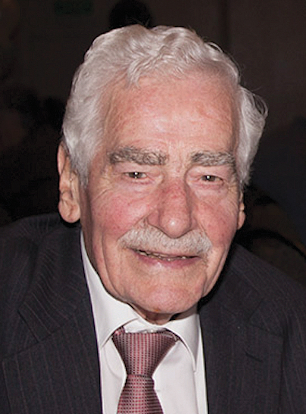 Angelo Viola — Il Globo