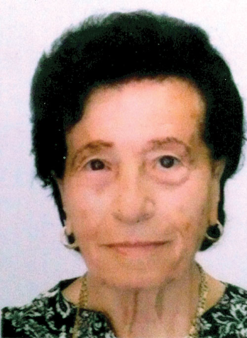 Dora Falcioni — Il Globo