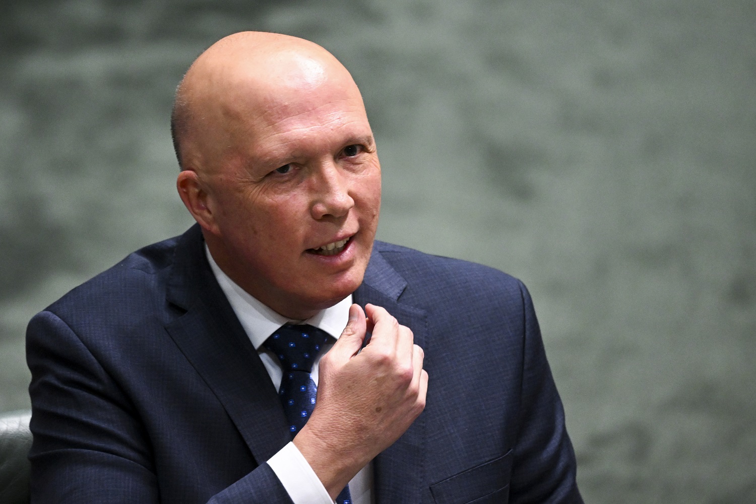 Anthony Albanese, sei mesi in costante ascesa — Il Globo