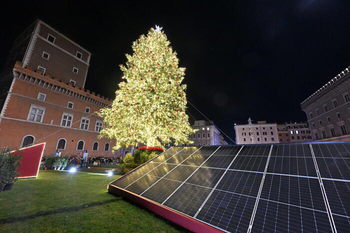 Spelacchio’s spectre returns to Rome with solar-powered Christmas tree ...