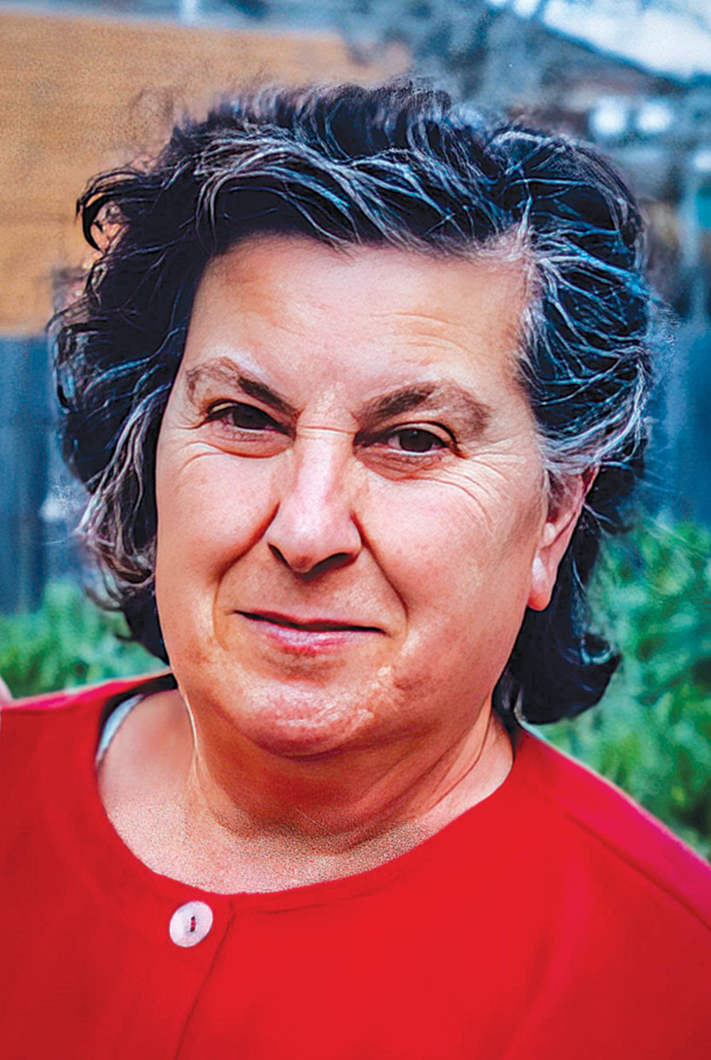 Rosa Lo Giudice — Il Globo