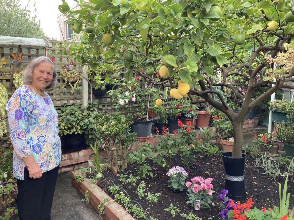 Maria Di Fabrizio e le meraviglie del suo giardino — Il Globo