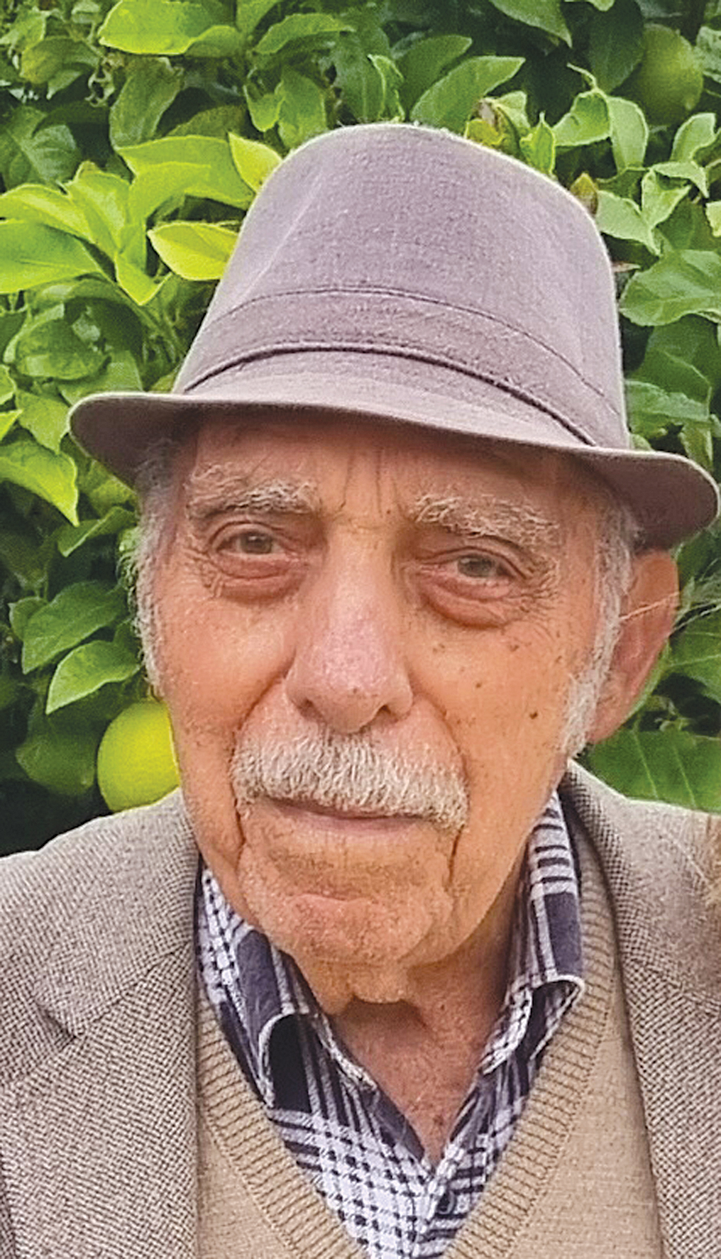 Antonino Caccamo — Il Globo