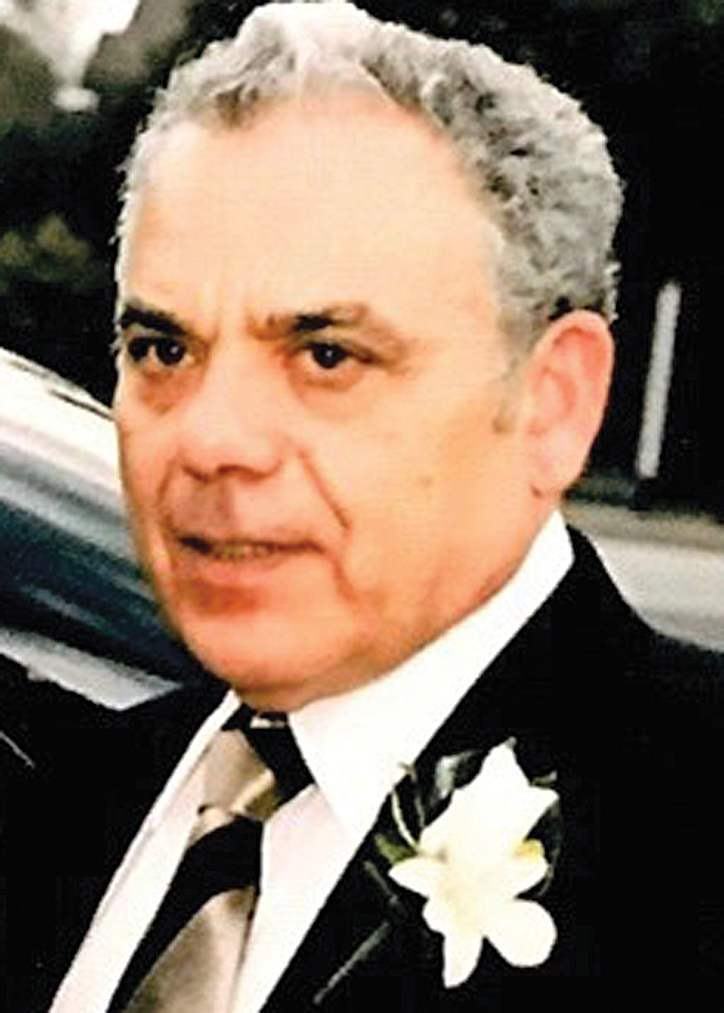 Giuseppe Fedele — Il Globo