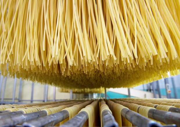 Prezzo della pasta: “Primi segnali di calo” — Il Globo